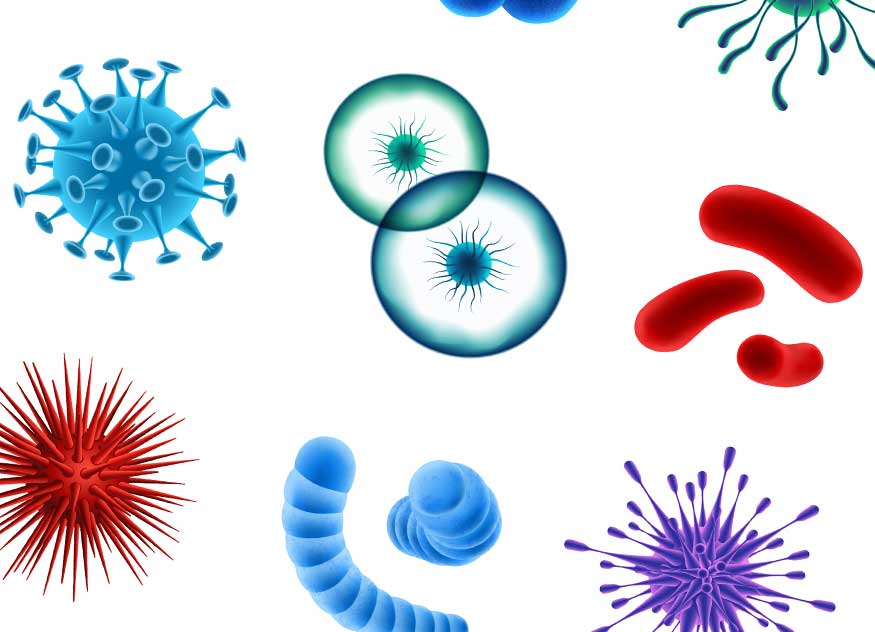 Detoxic pareri, tratament viermi intestinal, pretul in farmacii si ...